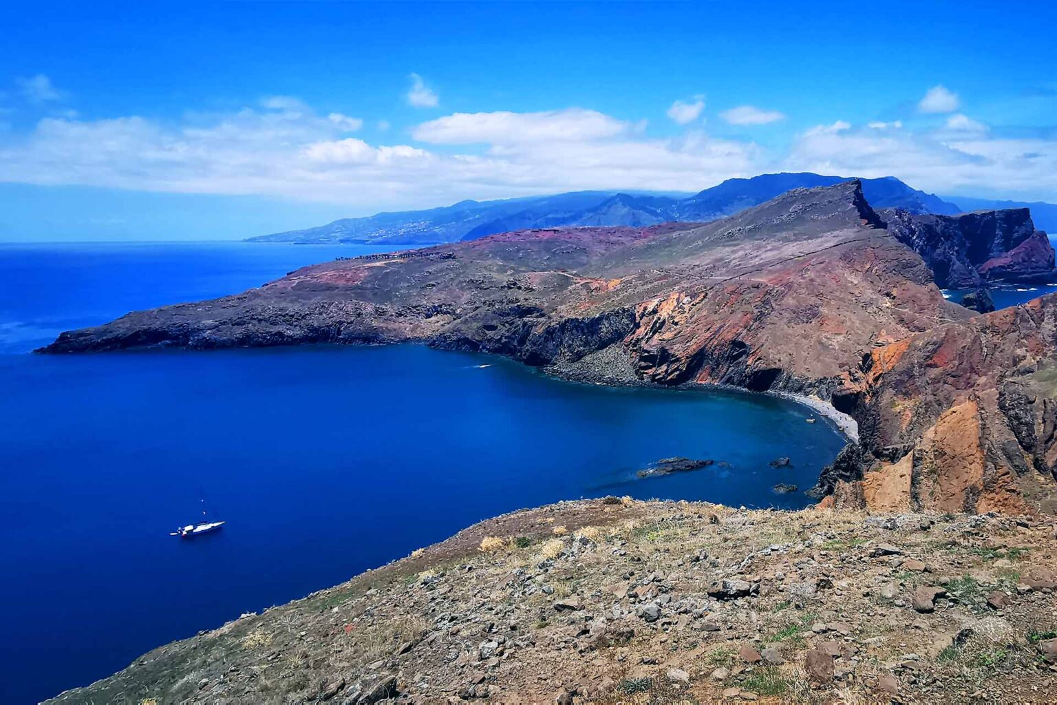 Madeira bus map + hoe met de bus Madeira ontdekken
